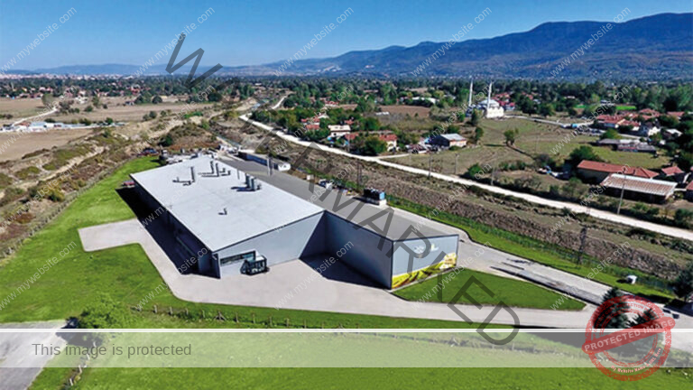 Frozen Potato Factory – Turfan Tarımsal